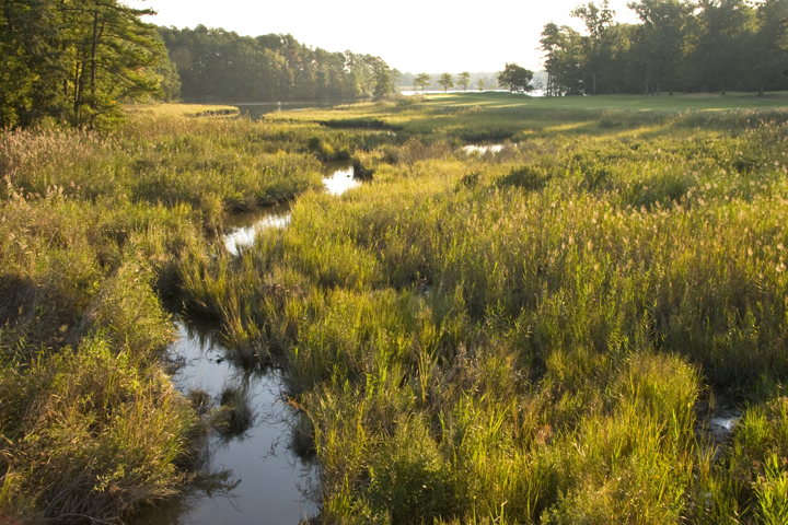 Course Details - Swan Point Yacht & Country Club