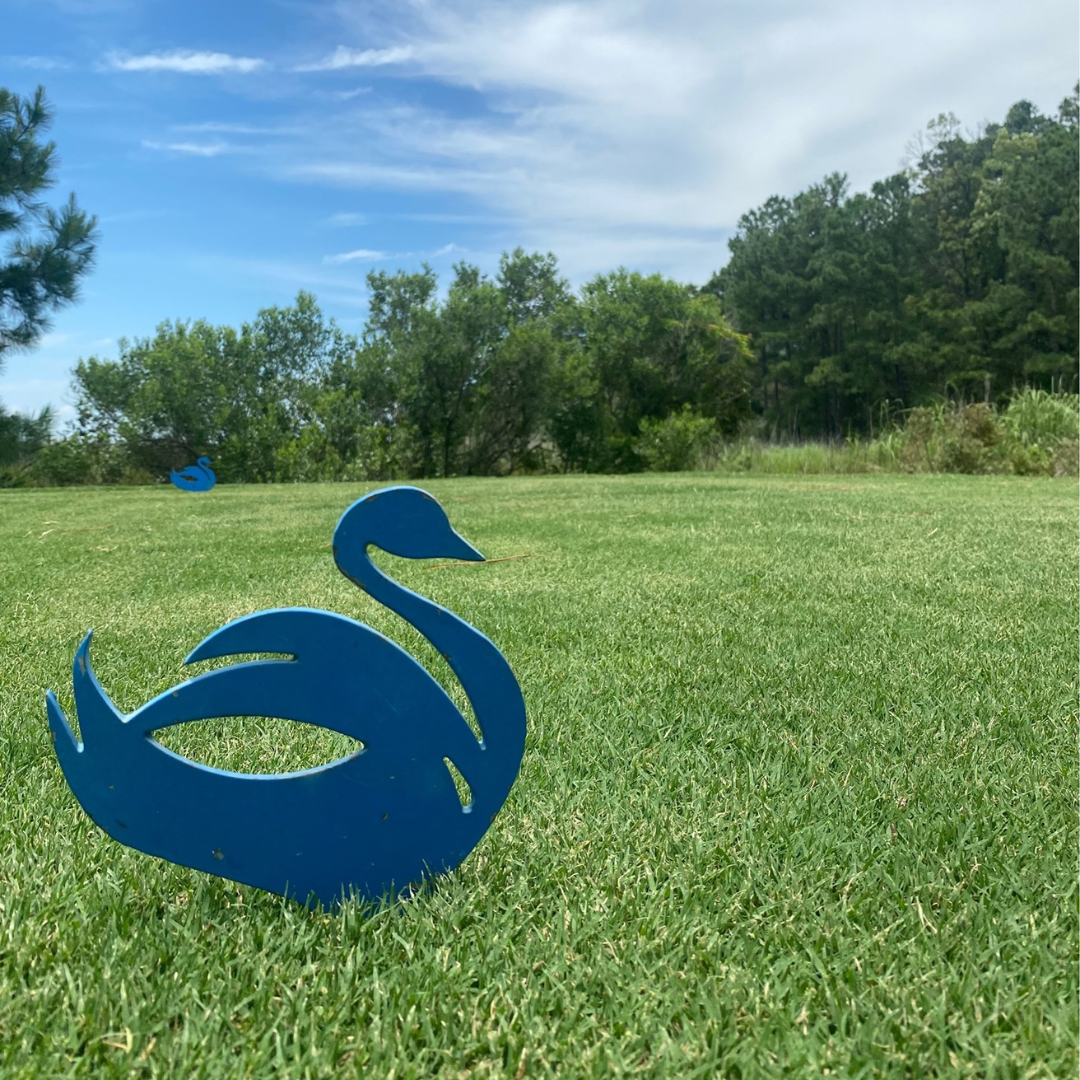 Amenities - Swan Point Yacht & Country Club