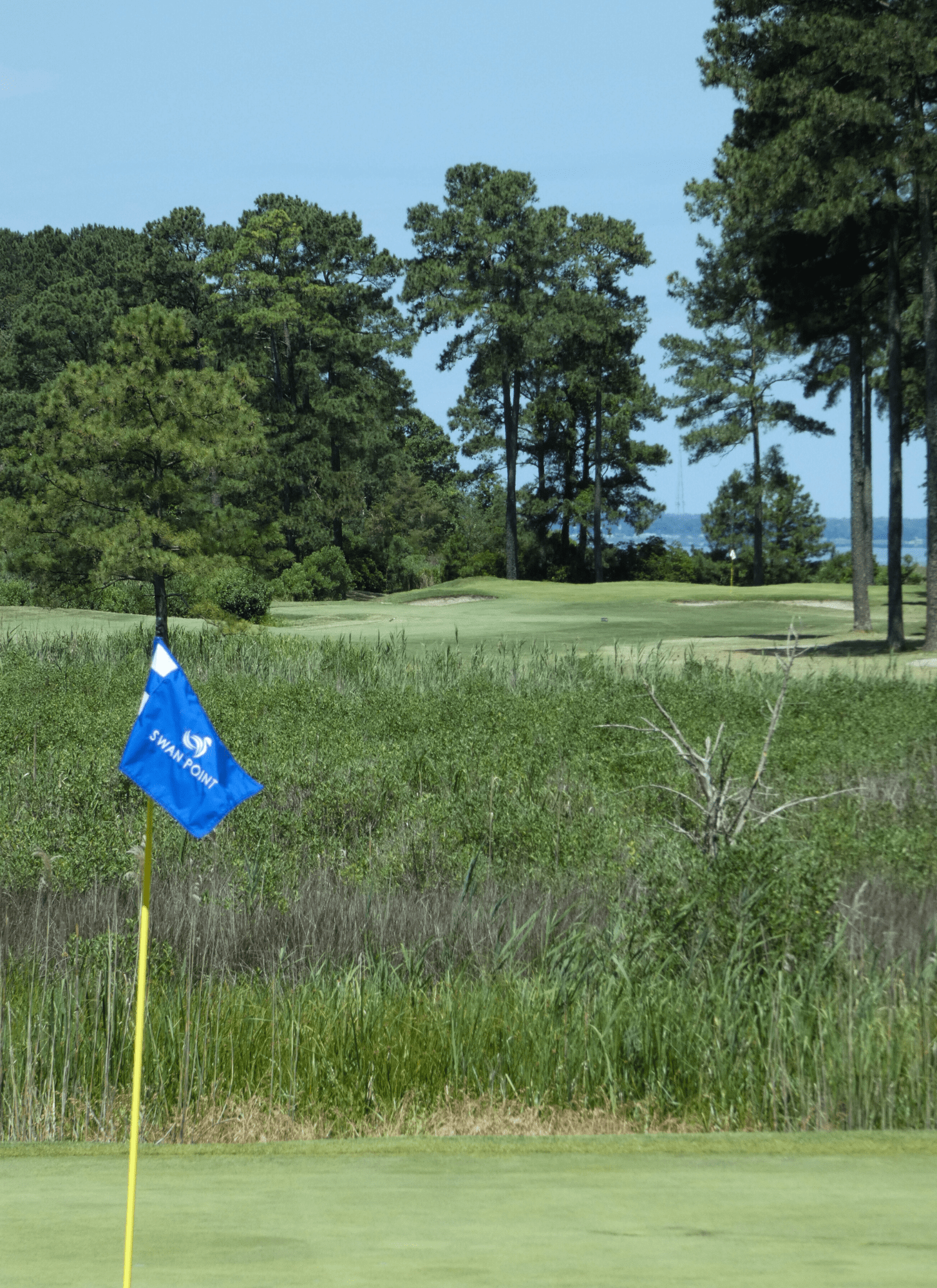 Course Details - Swan Point Yacht & Country Club